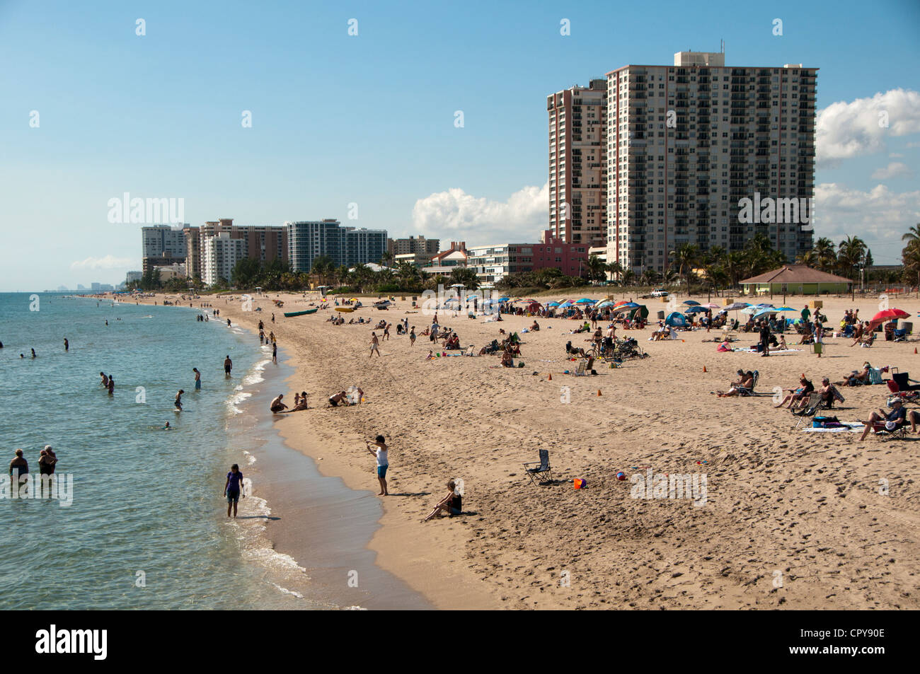 Gold pompano hi-res stock photography and images - Alamy