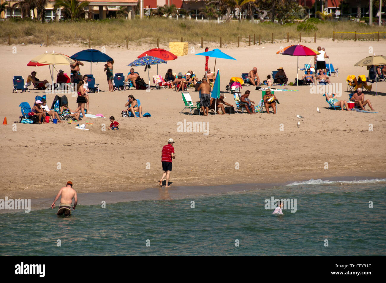 Gold pompano hi-res stock photography and images - Alamy