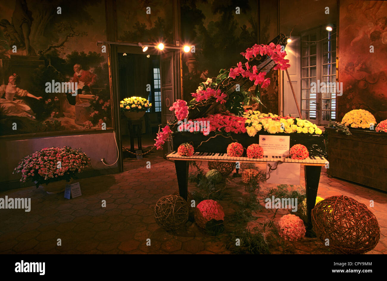 France, Alpes Maritimes, Grasse, Roses exhibition Stock Photo - Alamy