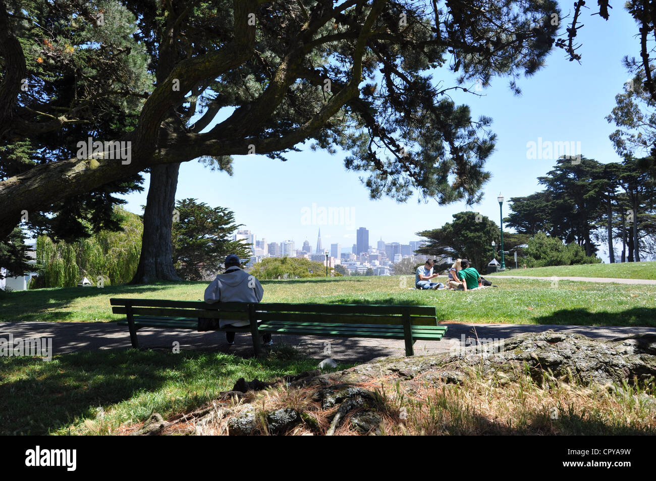 Golden gate park, san francisco hi-res stock photography and images - Alamy