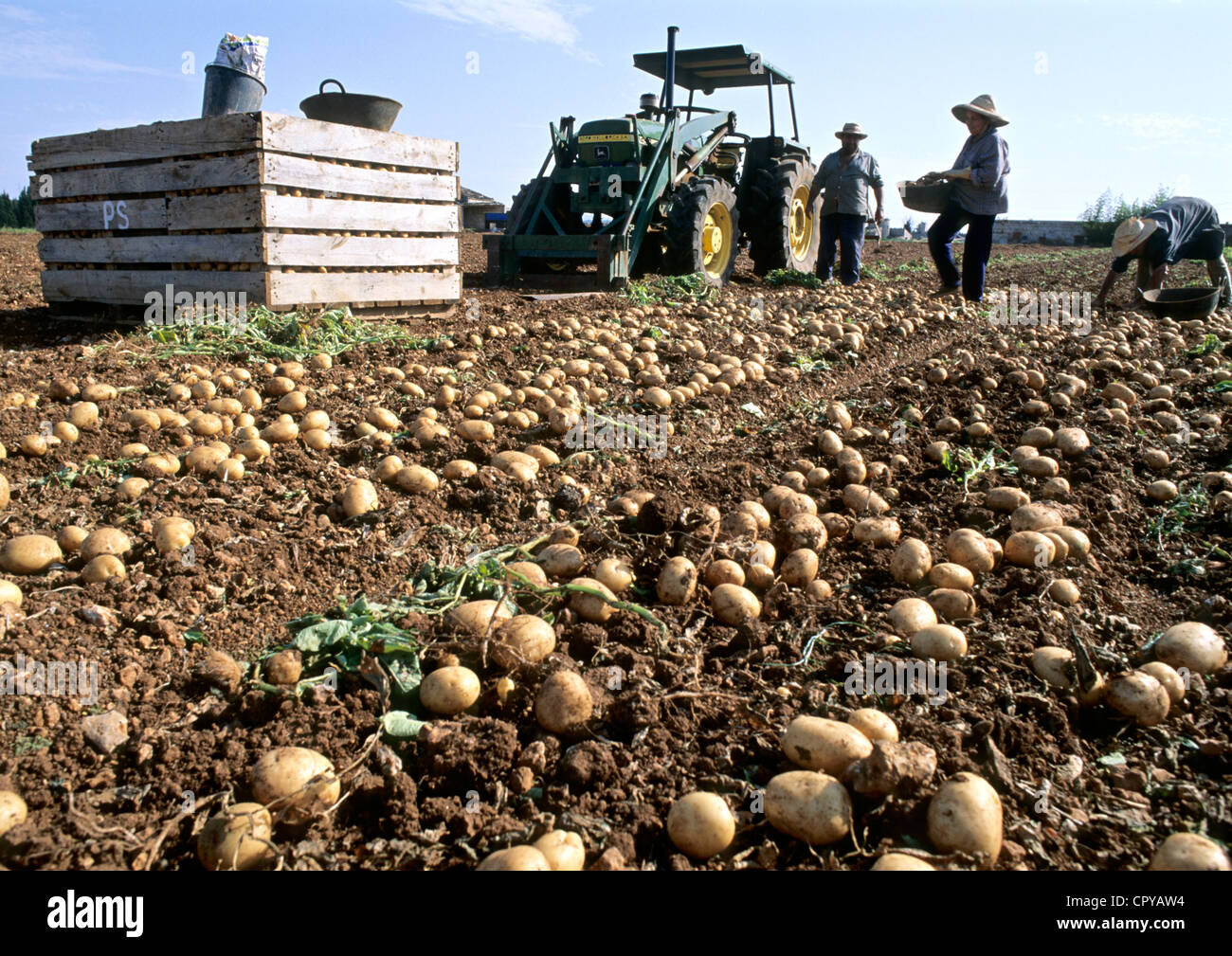 Harvesting potatoes spain hi-res stock photography and images - Alamy