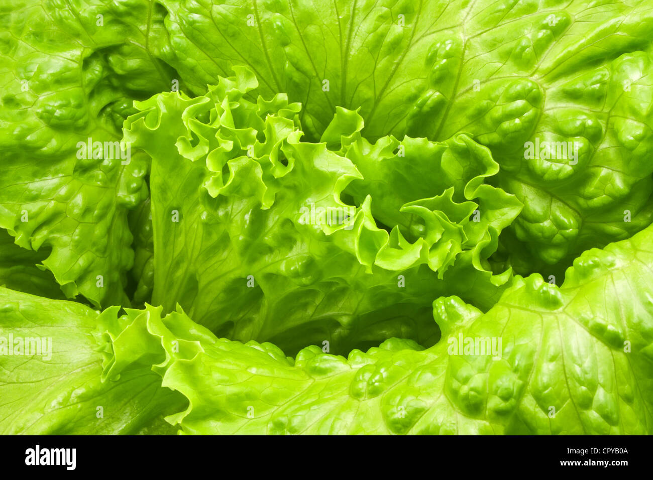 Vibrant fresh vegetable salad hi-res stock photography and images - Alamy