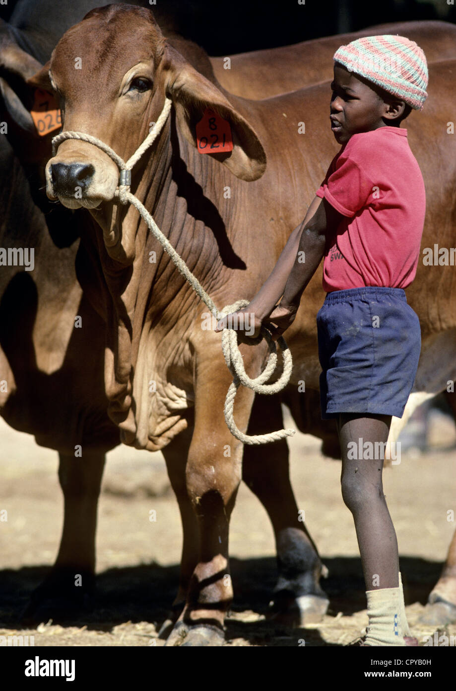 Ovambo people hi-res stock photography and images - Alamy