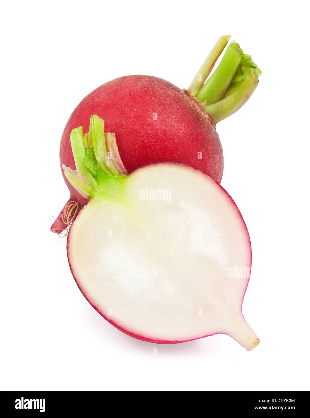 Garden radish on white background Stock Photo - Alamy