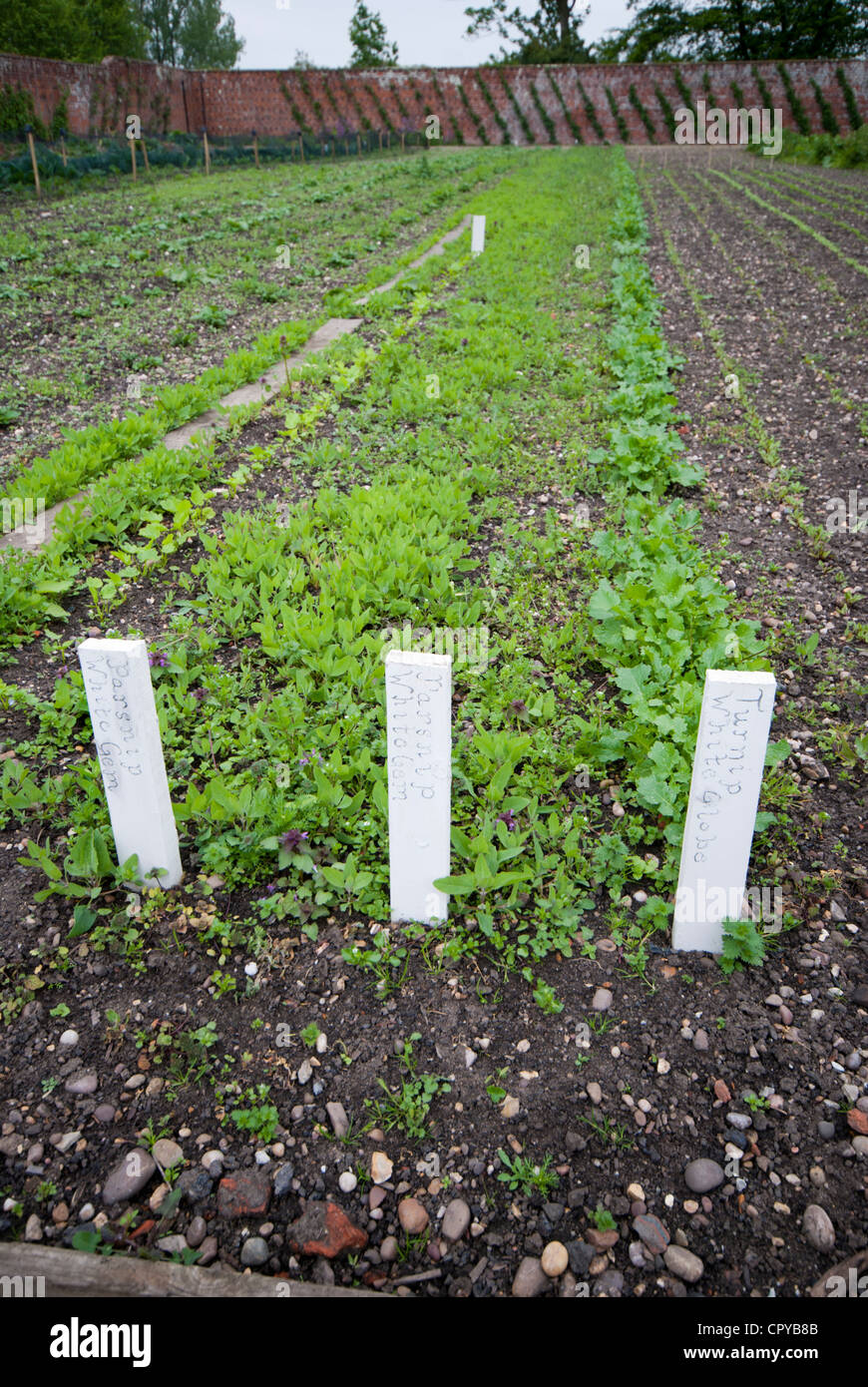 Crop labels hi-res stock photography and images - Alamy