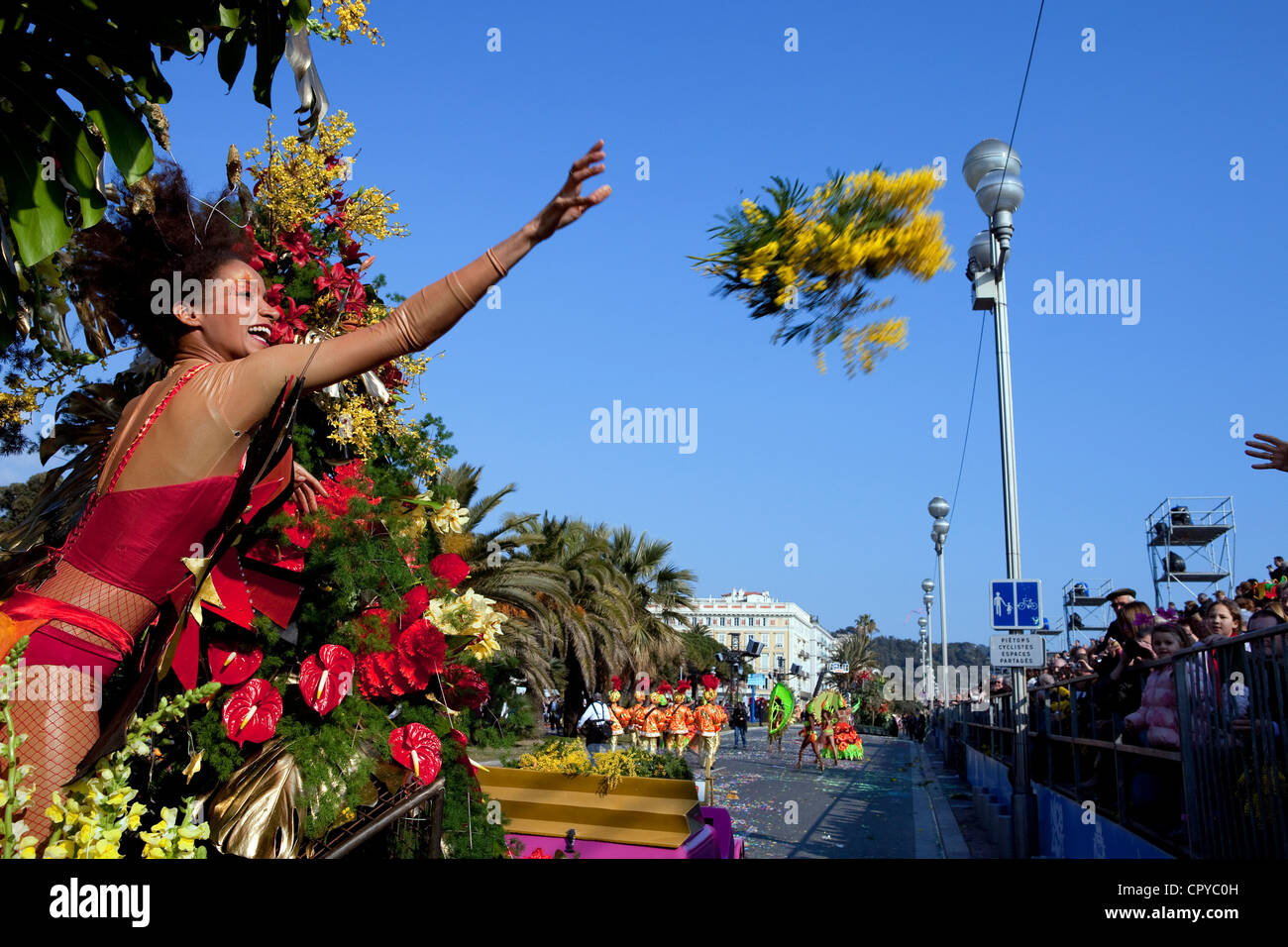 Nice carnival flower flower hi-res stock photography and images - Alamy