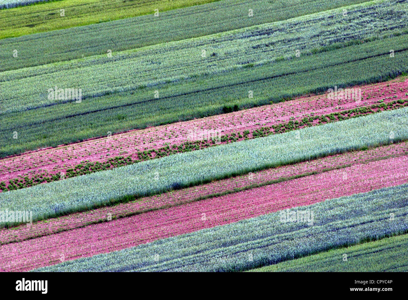 Abstract landscape, Aerial view of colorful fields Stock Photo - Alamy