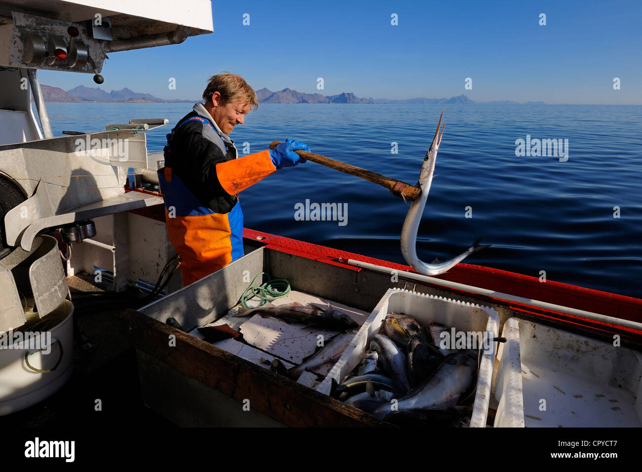 Norway, Nordland County, Lofoten Islands, professional angling Stock ...