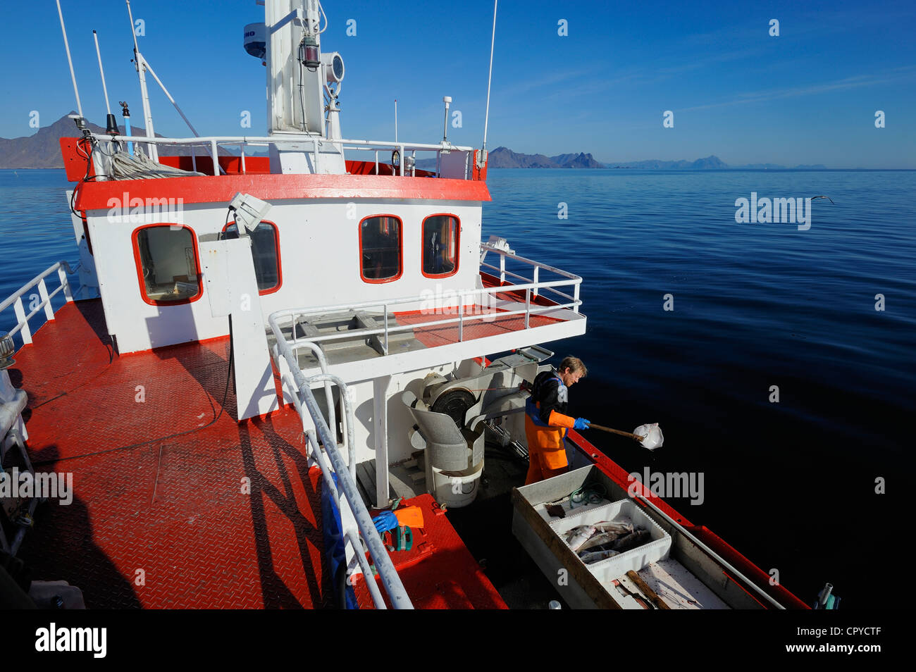 Norway, Nordland County, Lofoten Islands, professional angling Stock ...