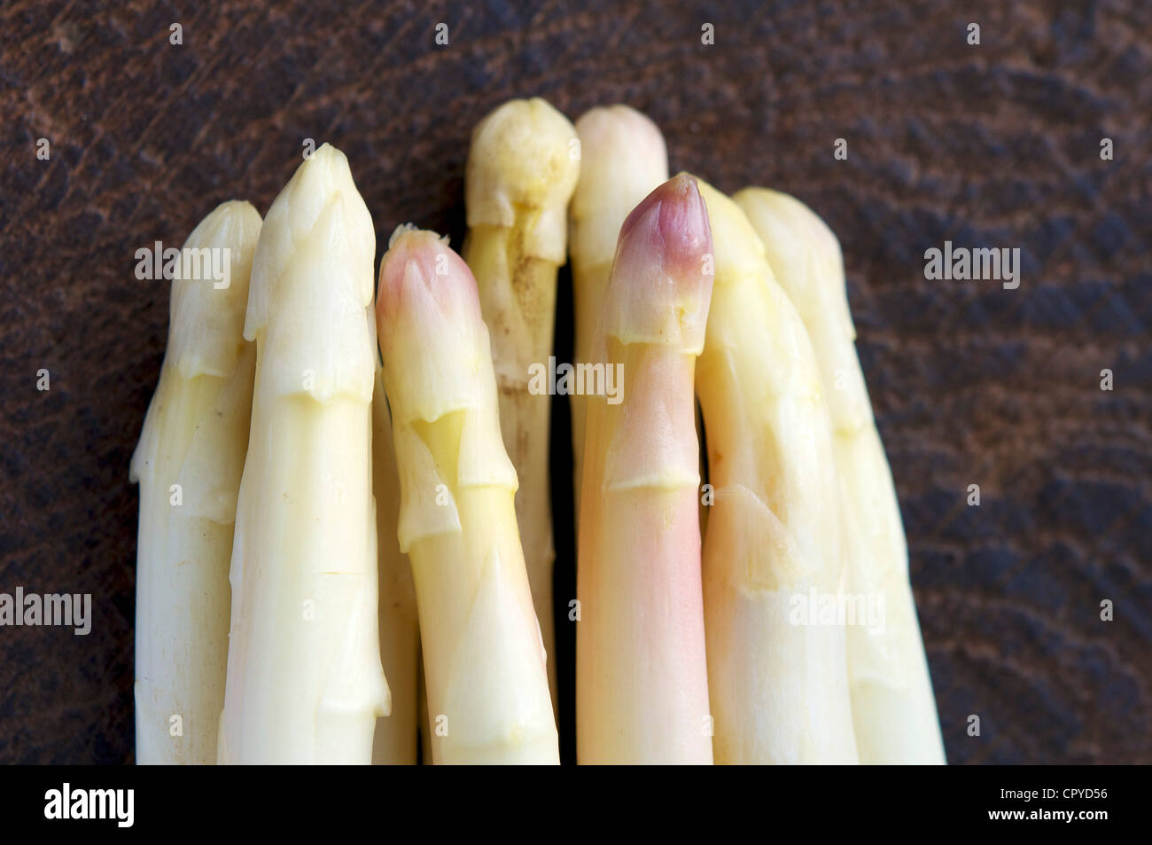 Fresh white white asparagus from a farm near Rahden in East-Westphalia ...