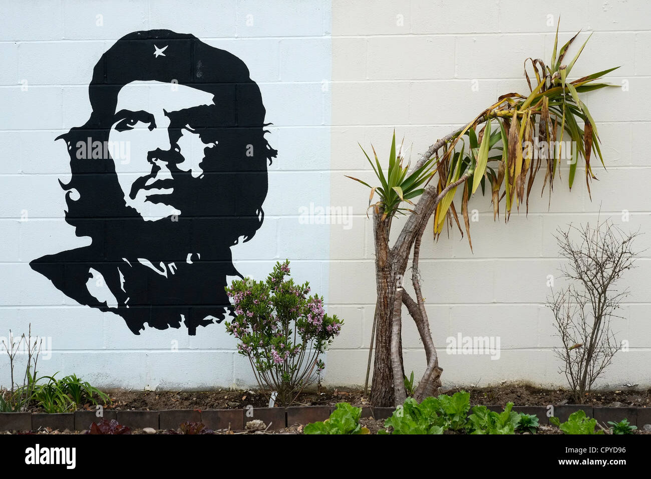 che guevara on wall Stock Photo - Alamy