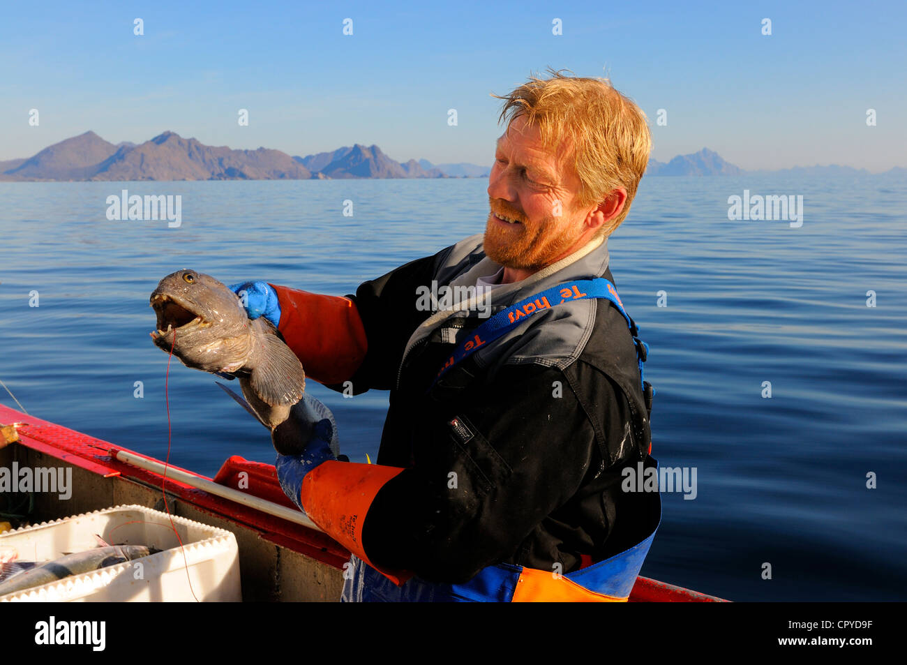 Norway, Nordland County, Lofoten Islands, professional angling Stock ...