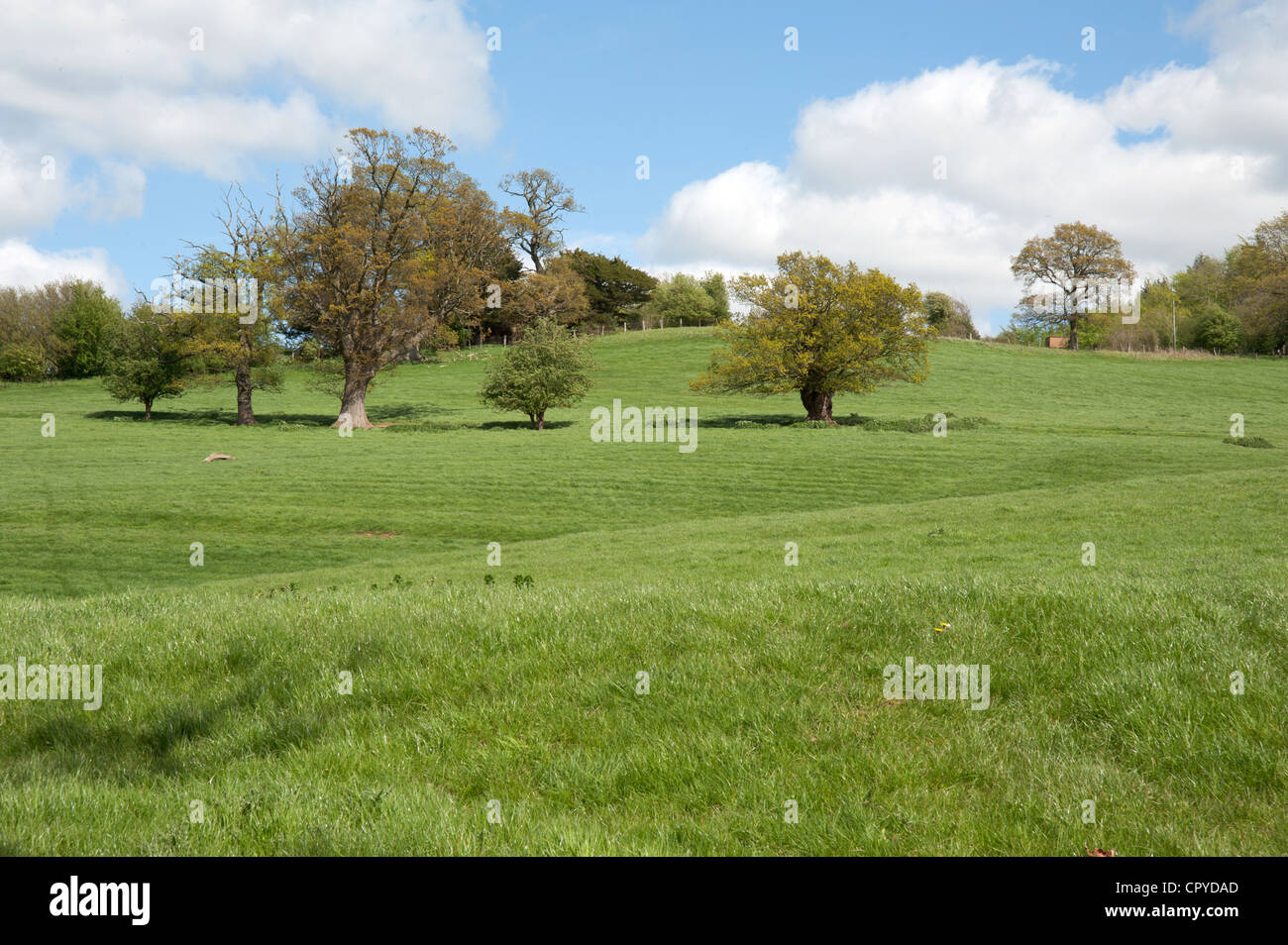 Herefordshire countryside village hi-res stock photography and images ...