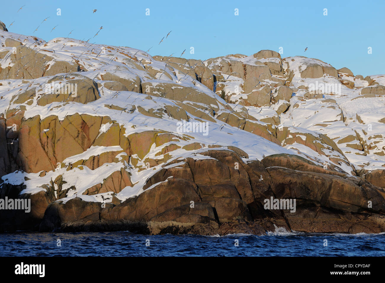 Myre vesteralen High Resolution Stock Photography and Images - Alamy