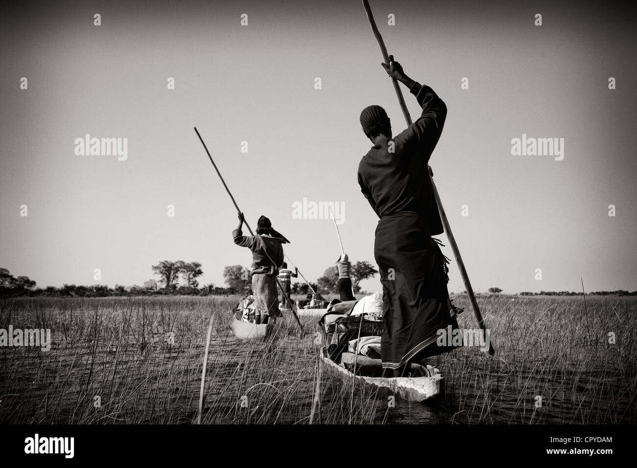 Floodlands hi-res stock photography and images - Alamy