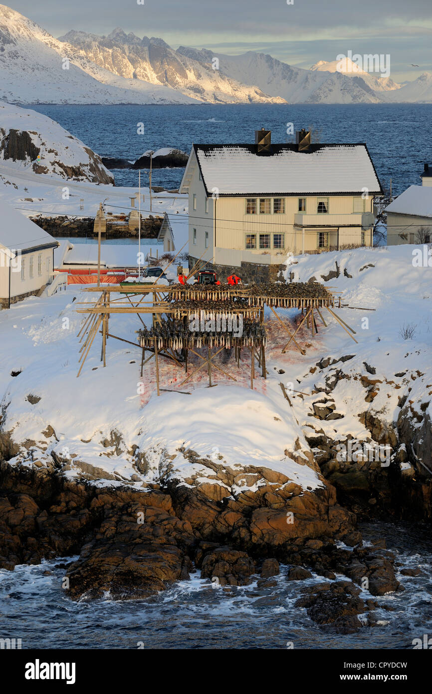 Norway, Nordland County, Lofoten Islands, Moskenes Island, Hamnoy ...