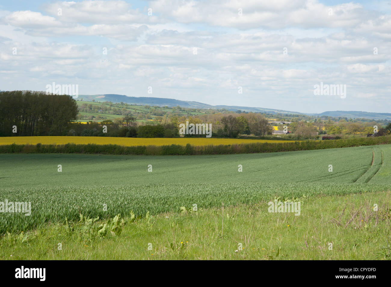 Herefordshire countryside village hi-res stock photography and images ...