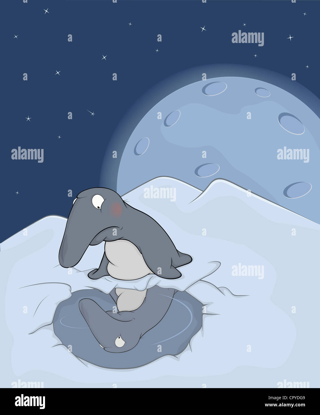 Baby fairy penguin hi-res stock photography and images - Alamy