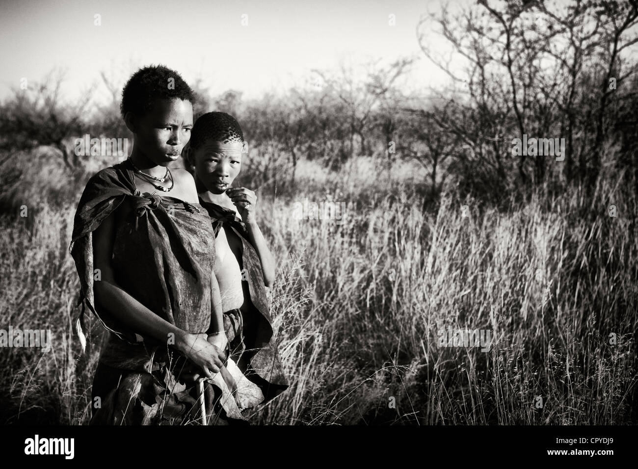 Kalahari San (Basarwa) Bushpeople, Botswana Stock Photo - Alamy