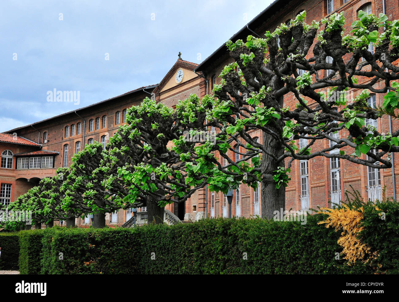 France pollarded trees french hi-res stock photography and images - Alamy