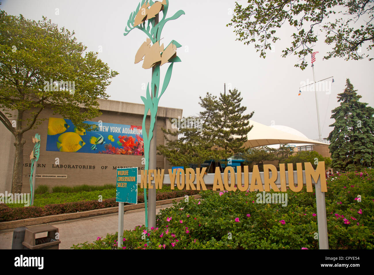 New york aquarium hi-res stock photography and images - Alamy