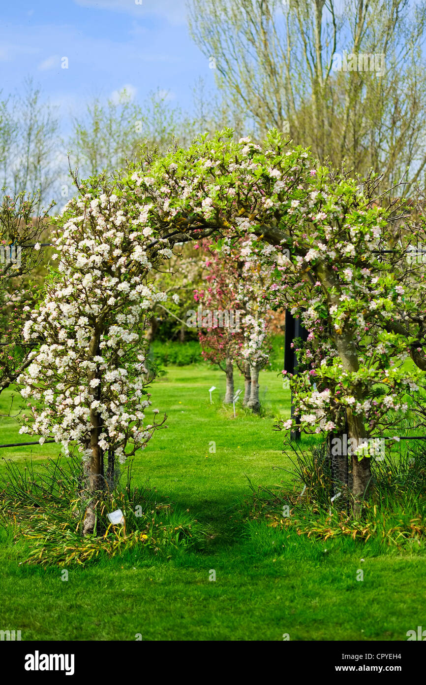 Ryton plant hi-res stock photography and images - Alamy