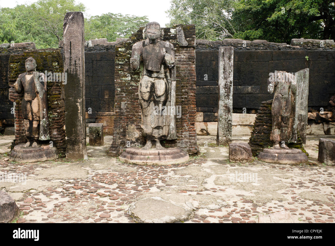 Dalada hi-res stock photography and images - Alamy