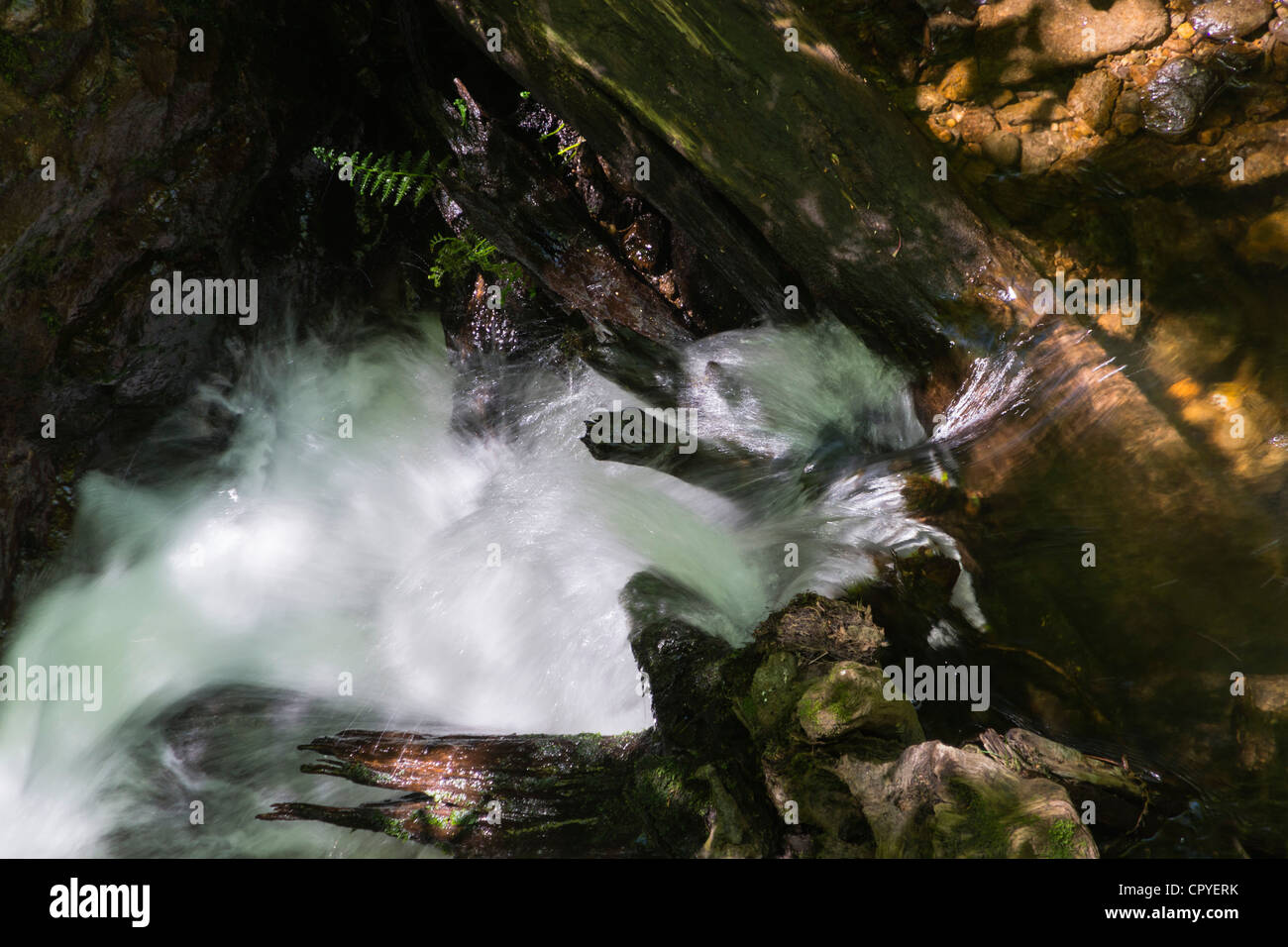 Dollar Glen, Dollar, Clackmannanshire, Scotland - wooded ravine with ...