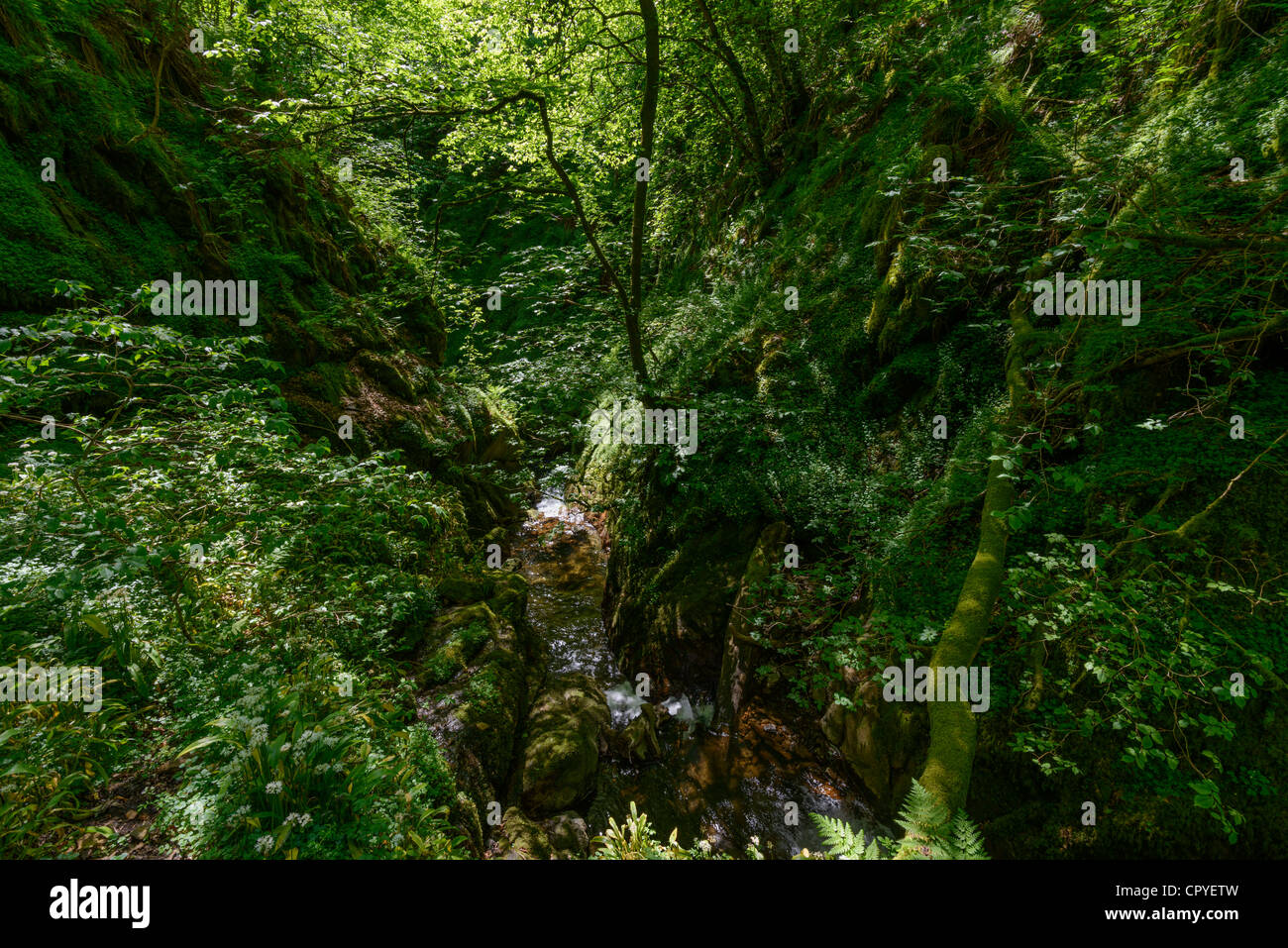 Dollar clackmannanshire scotland hi-res stock photography and images ...