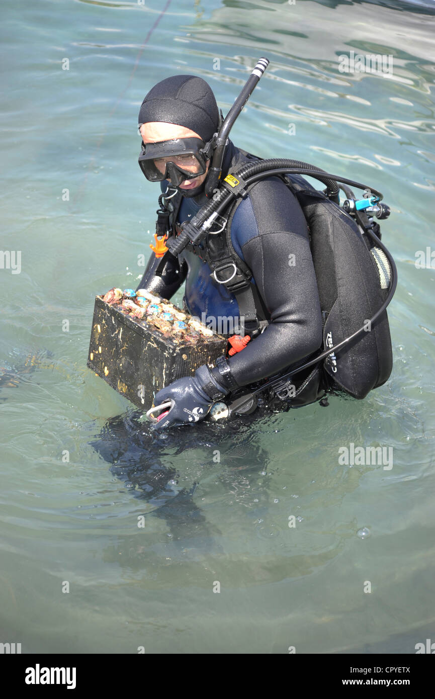 Diver taking old battery off the sea Stock Photo - Alamy