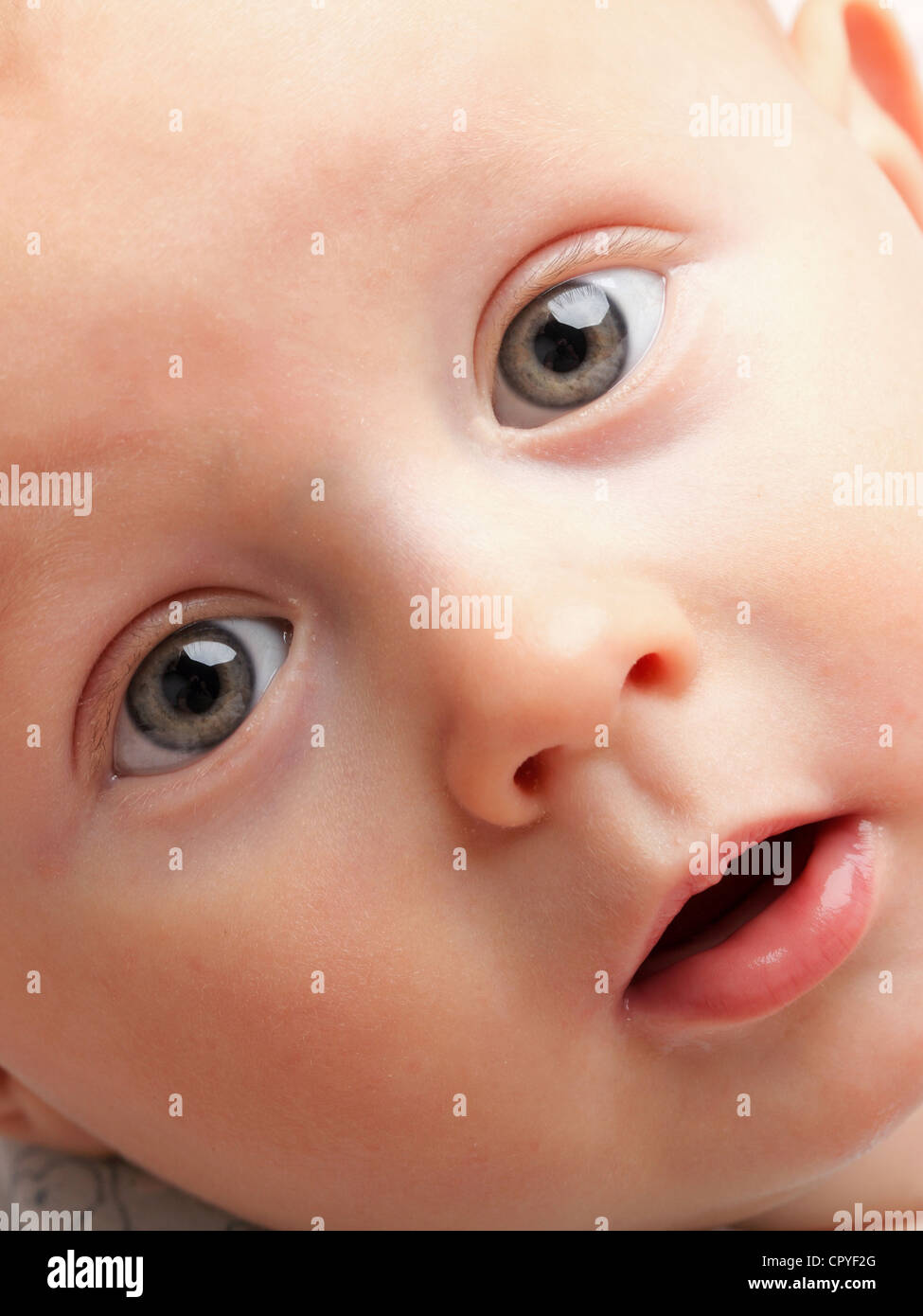 portrait of 6 months male child baby boy in blue eye Stock Photo - Alamy