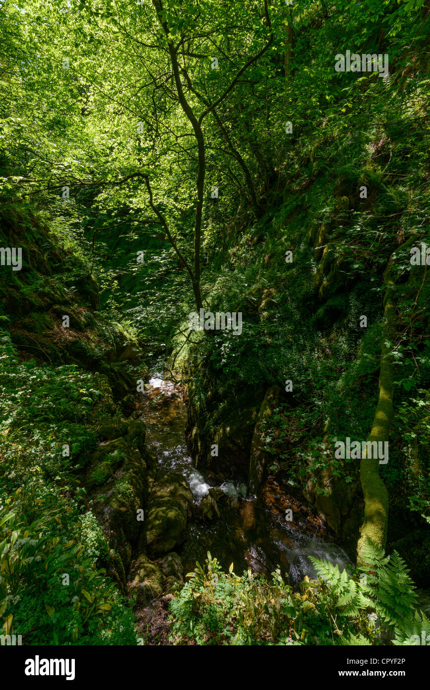 Dollar burn scotland hi-res stock photography and images - Alamy