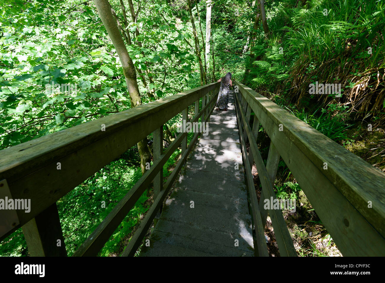 Dollar clackmannanshire scotland hi-res stock photography and images ...