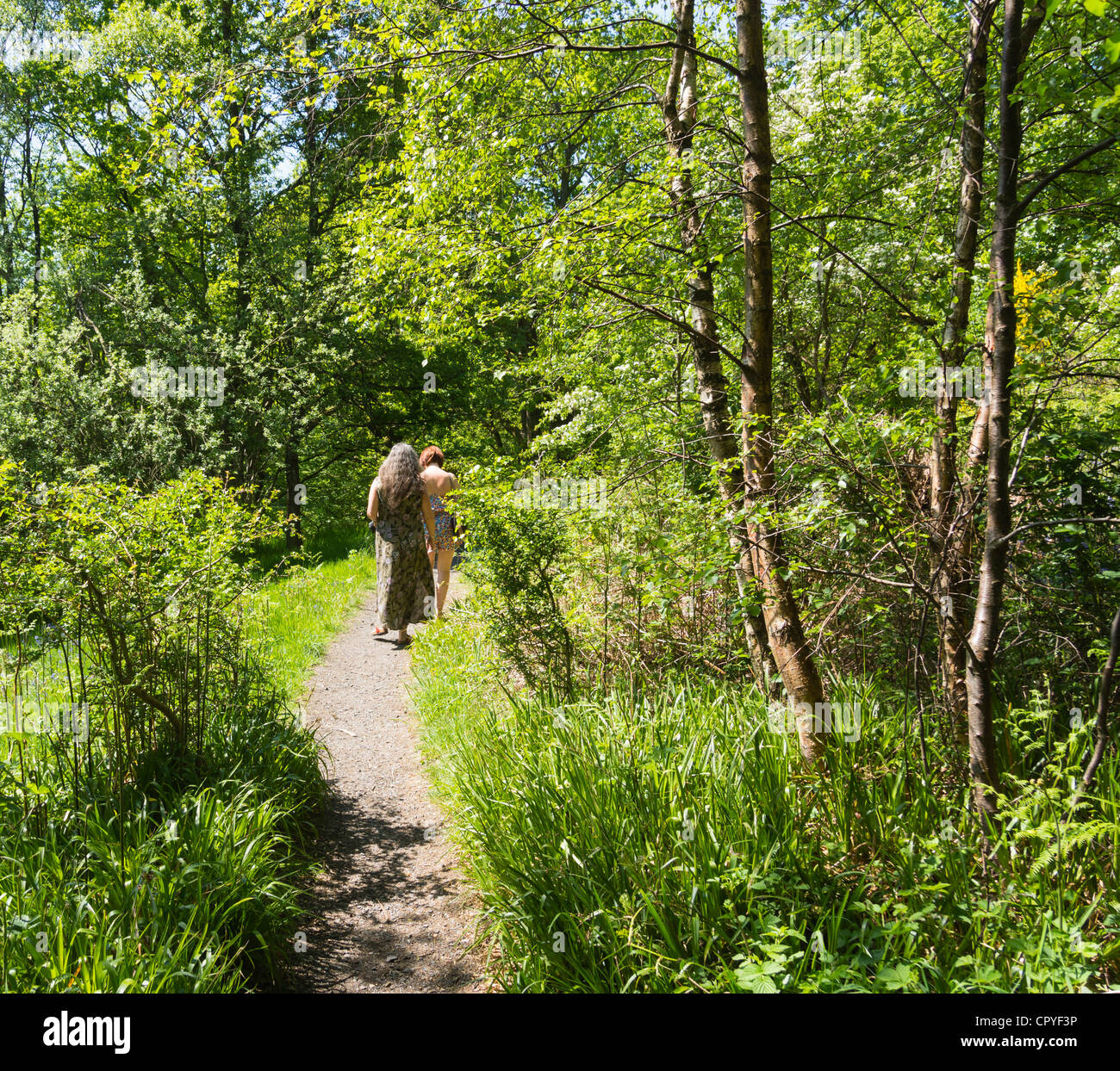 Dollar glen scotland summer hi-res stock photography and images - Alamy