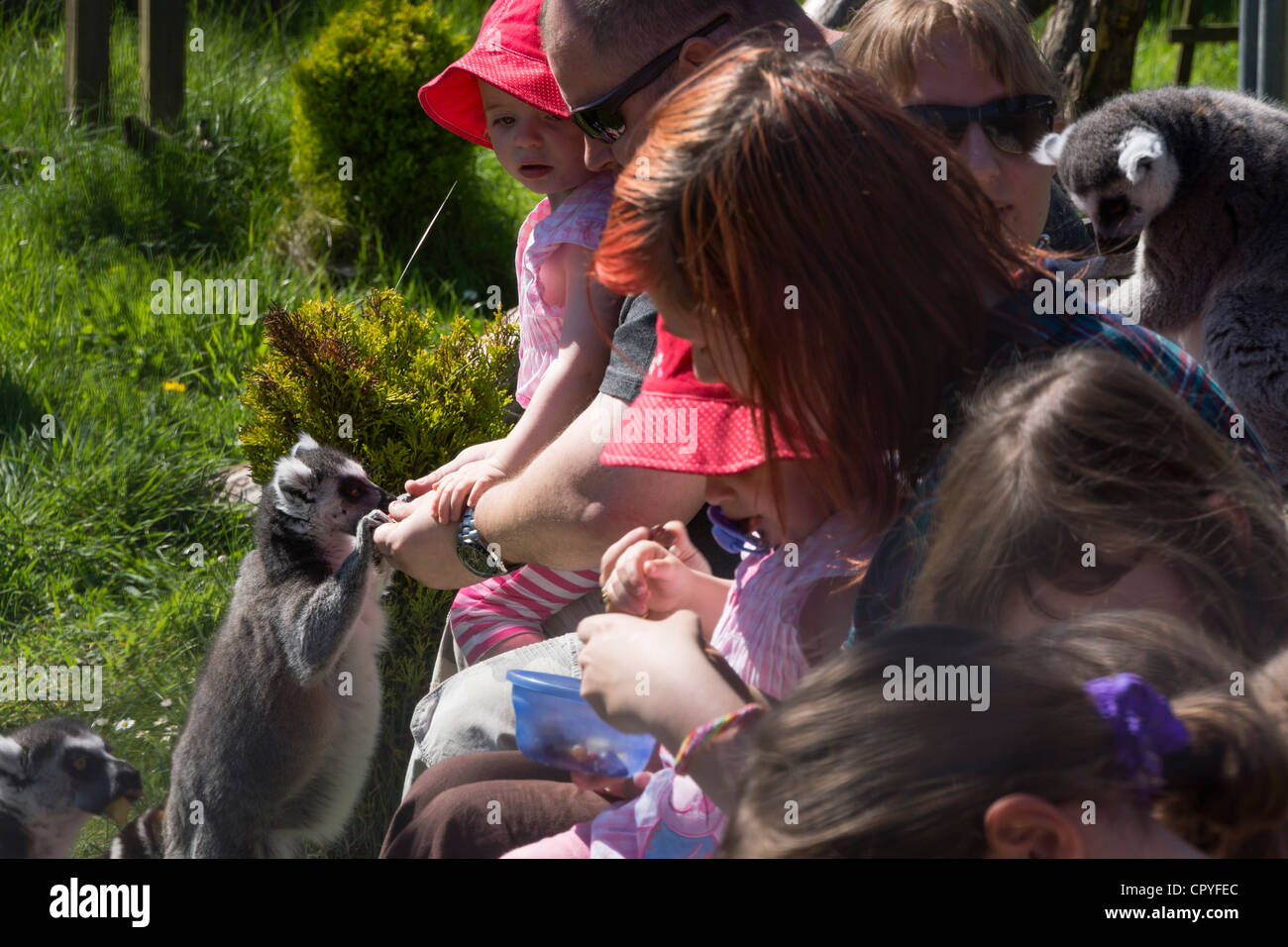 Five Sisters Zoo, Polbeth, Livingston, Scotland - children and families ...