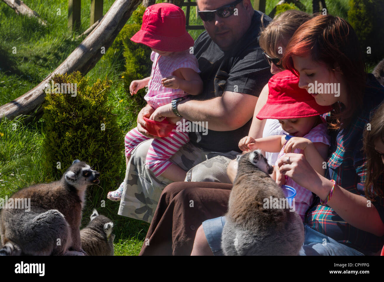 Five Sisters Zoo, Polbeth, Livingston, Scotland - children and families ...