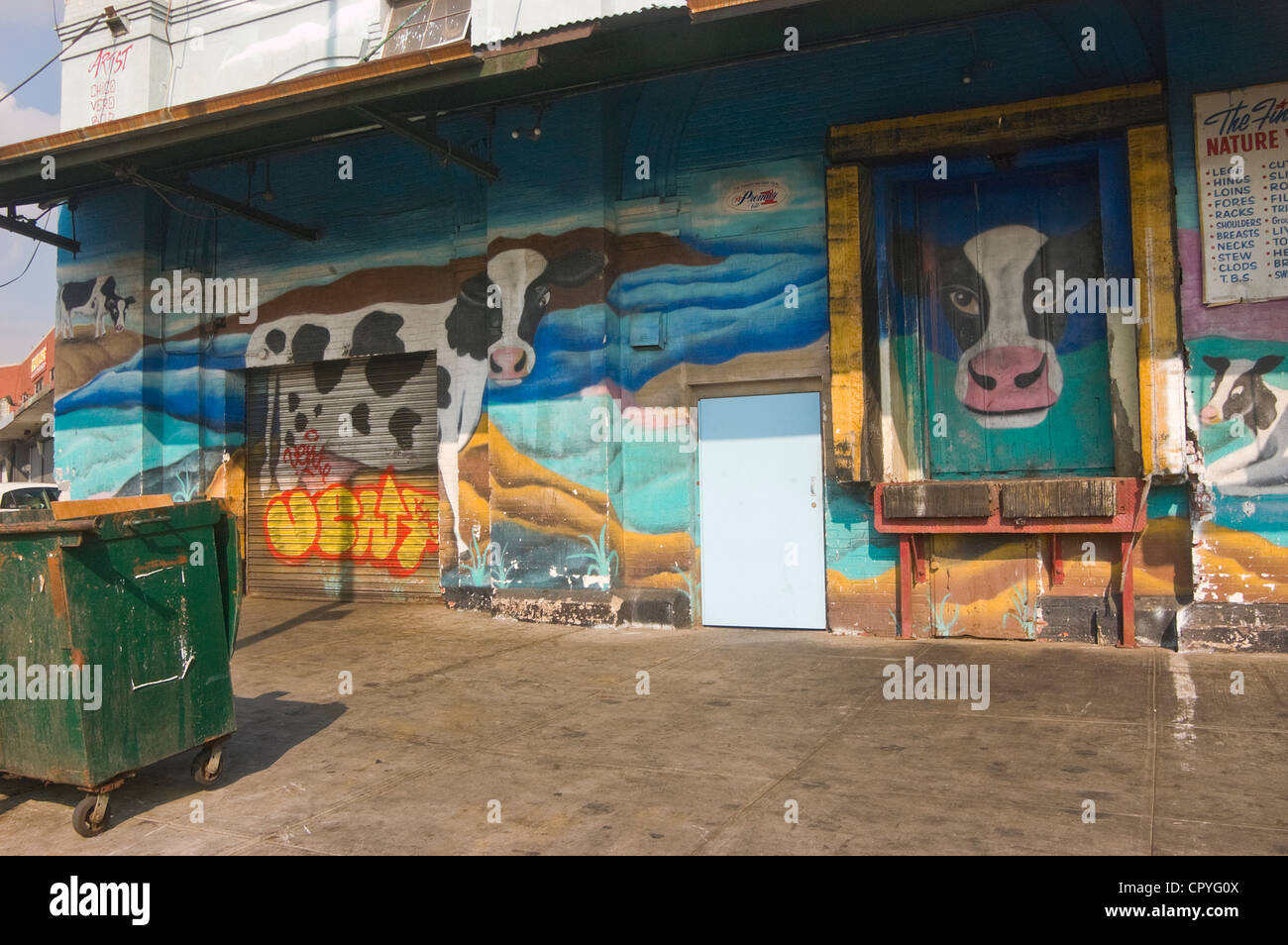 Cow Murals High Resolution Stock Photography and Images - Alamy