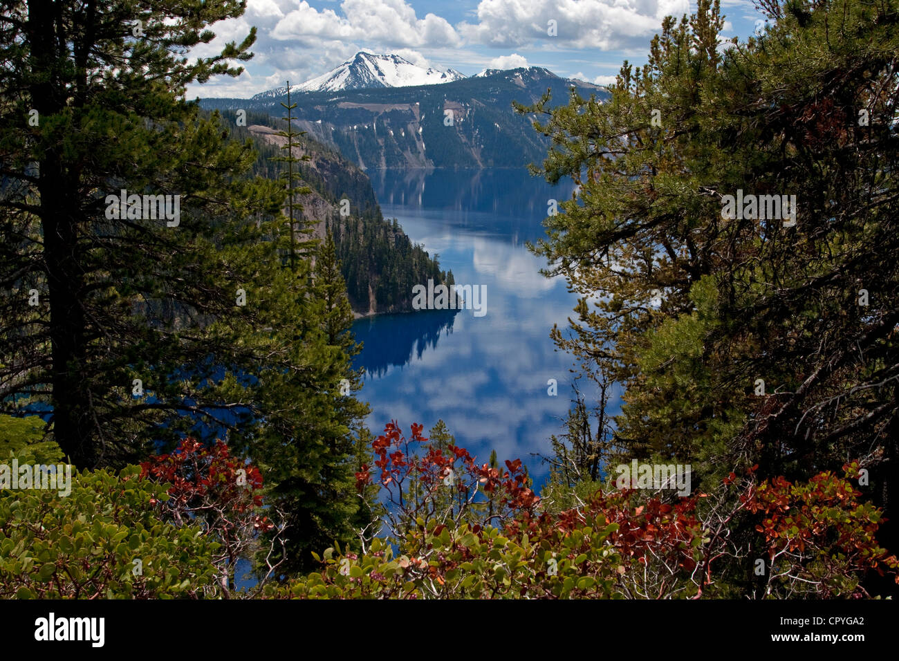 A scenic view of Crater Lake, Oregon, USA (7th deepest lake in the ...