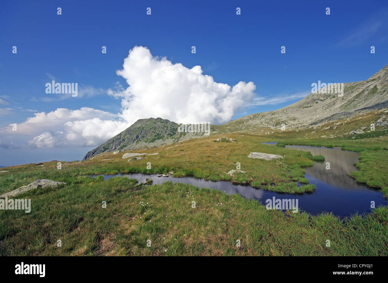 Mountain water spring in Retezat National Park Stock Photo - Alamy