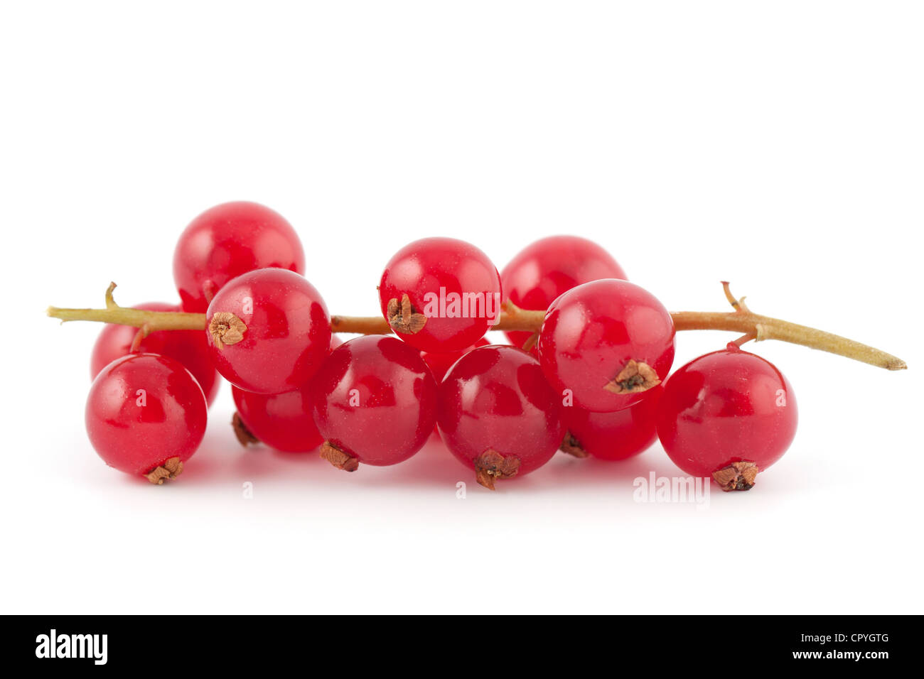 Fresh Red Currants Stock Photo - Alamy