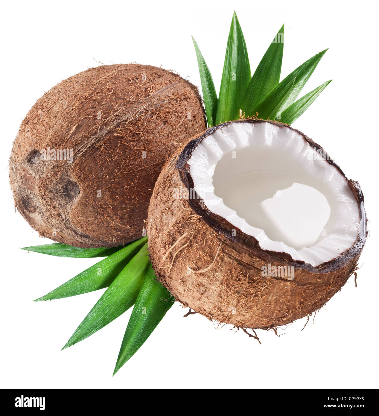 Coconut on a white background Stock Photo - Alamy
