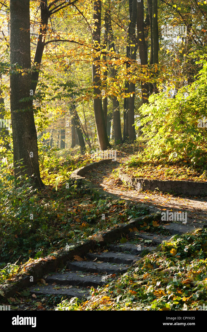 Stairs in autumn park. Sunny autumn landscape Stock Photo - Alamy