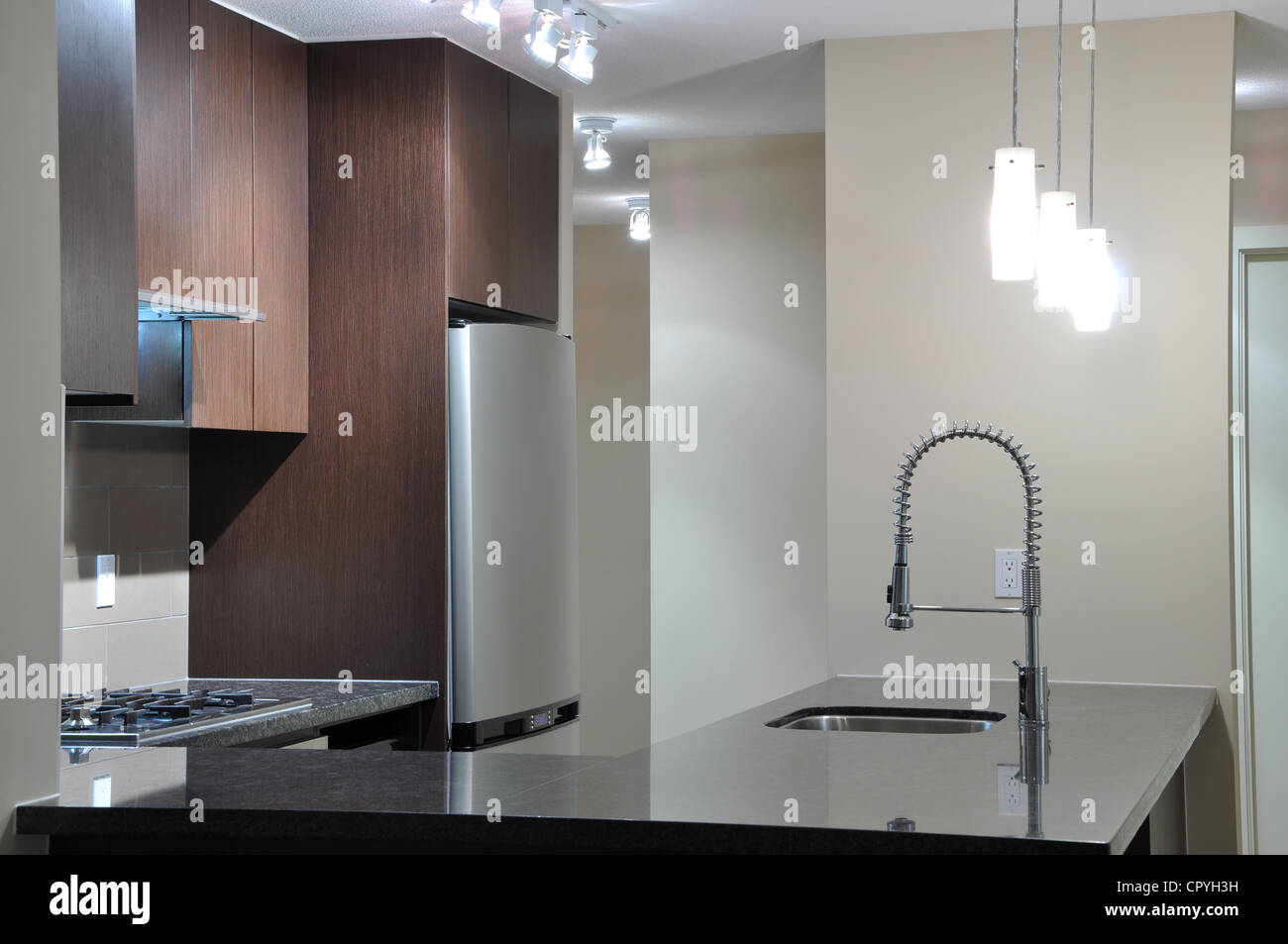 Modern kitchen interior Stock Photo - Alamy