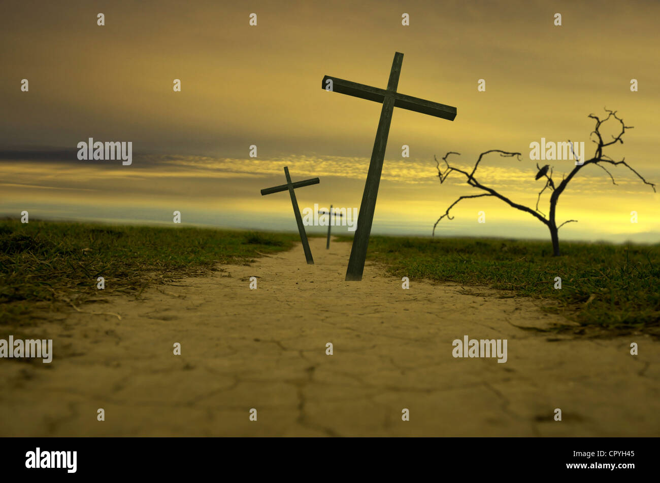 Three crosses on the road abstract of human way with raven symbol of ...