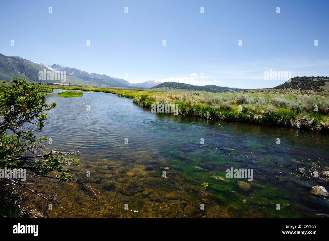 Hot creek mammoth hi-res stock photography and images - Alamy