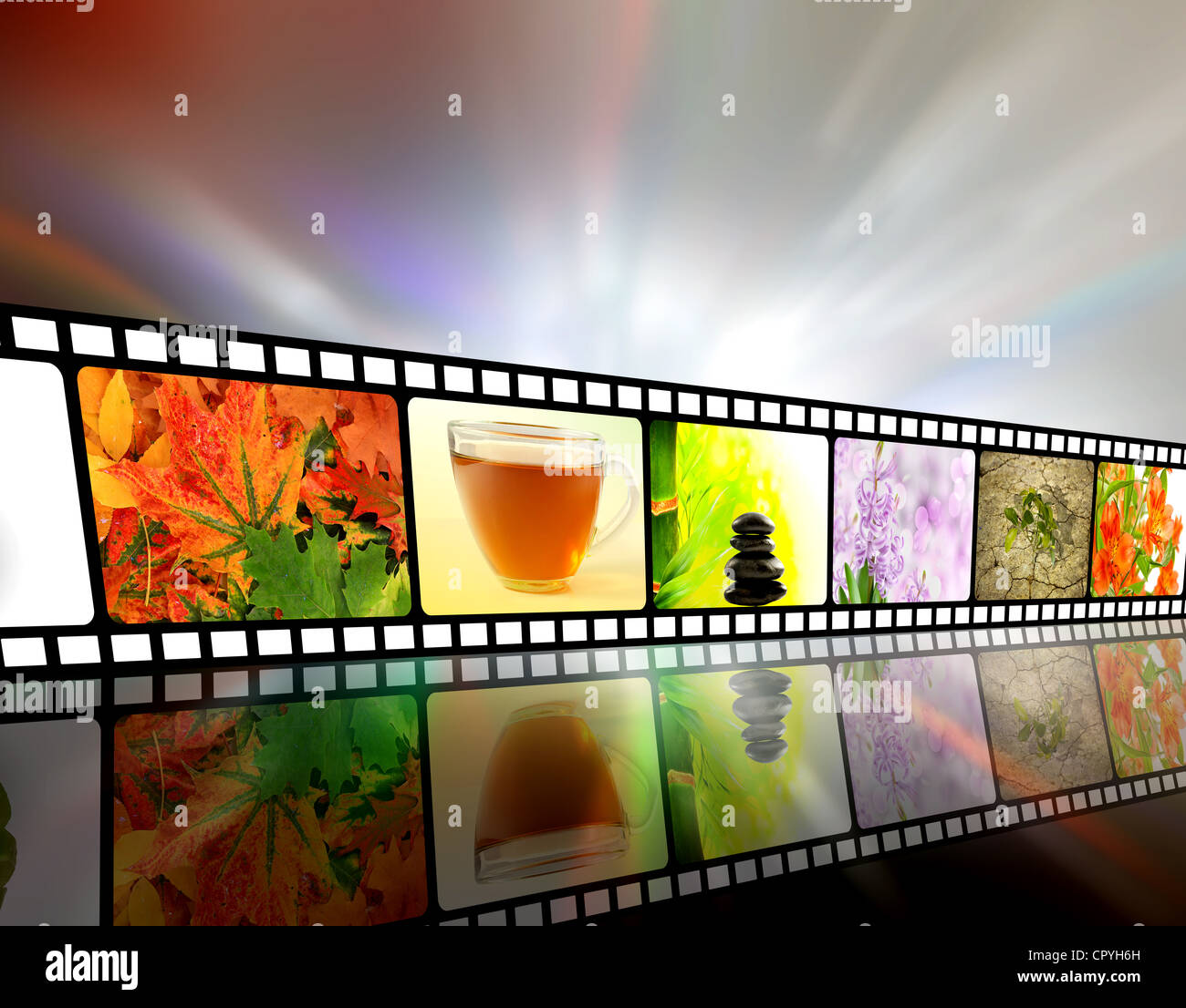 Film strip of nature environment set Stock Photo - Alamy