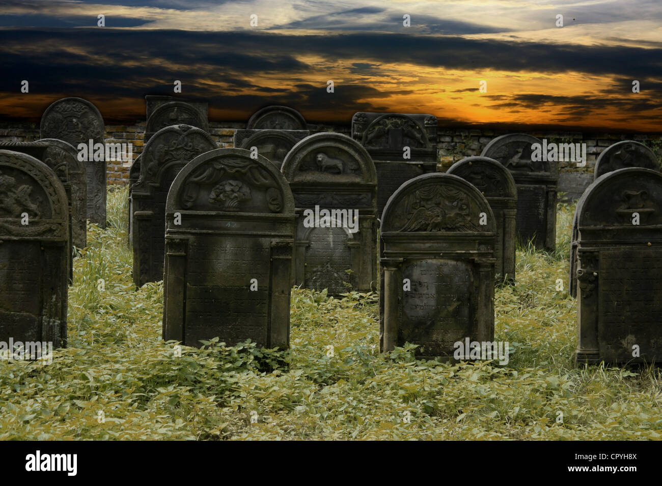 Jewish landscape hi-res stock photography and images - Alamy