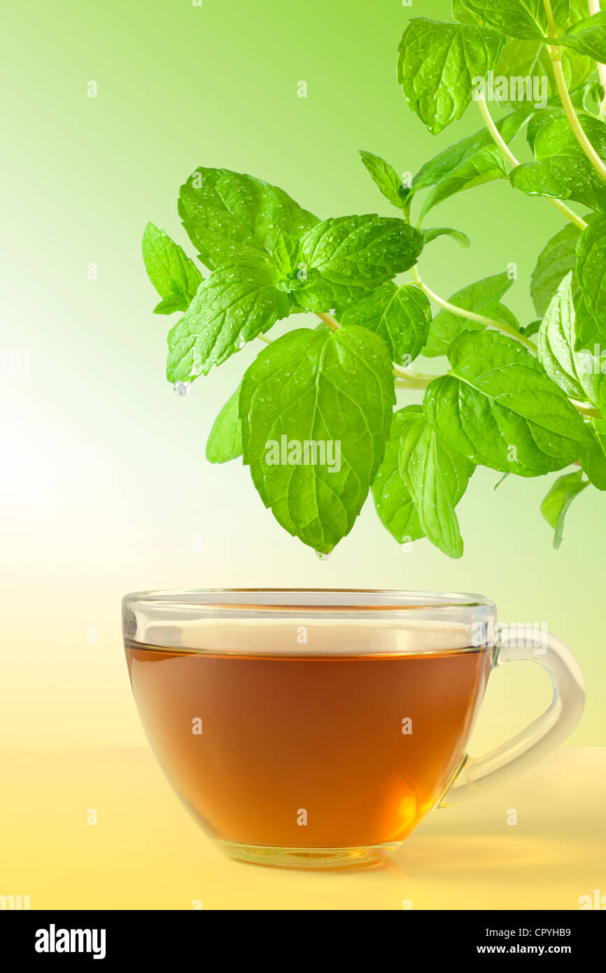Spearmint tea hi-res stock photography and images - Alamy