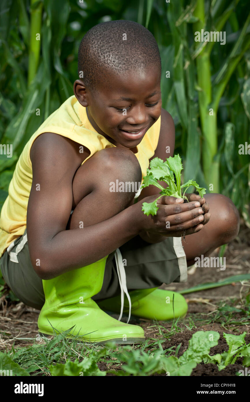 Plants black boy hi-res stock photography and images - Alamy