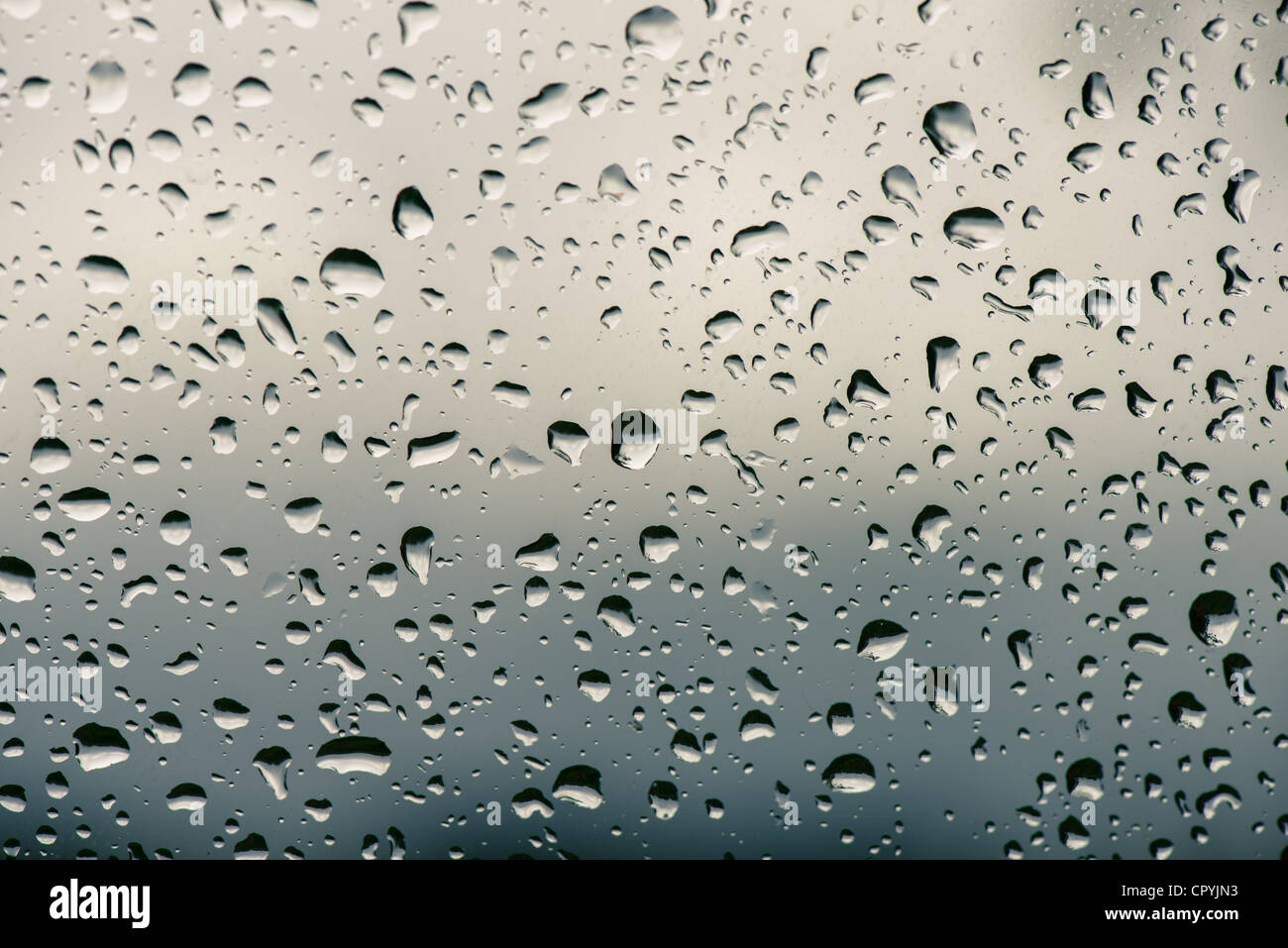 water drops on window glass Stock Photo - Alamy